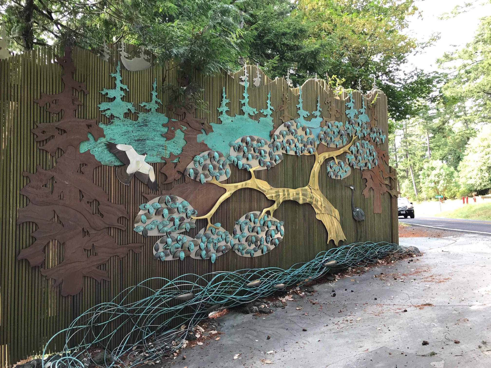 The Art of Trees – Orcas Island Madronas | ARTISTIC PENSION