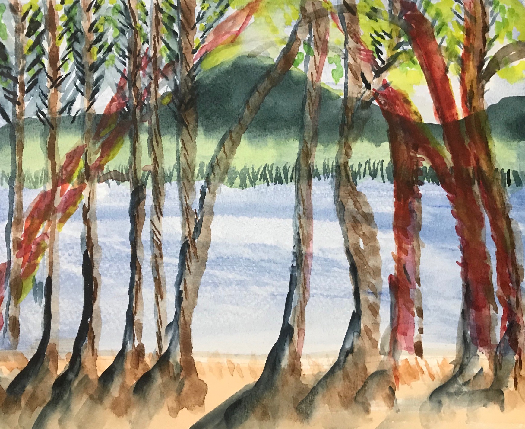 The Art of Trees – Orcas Island Madronas | ARTISTIC PENSION