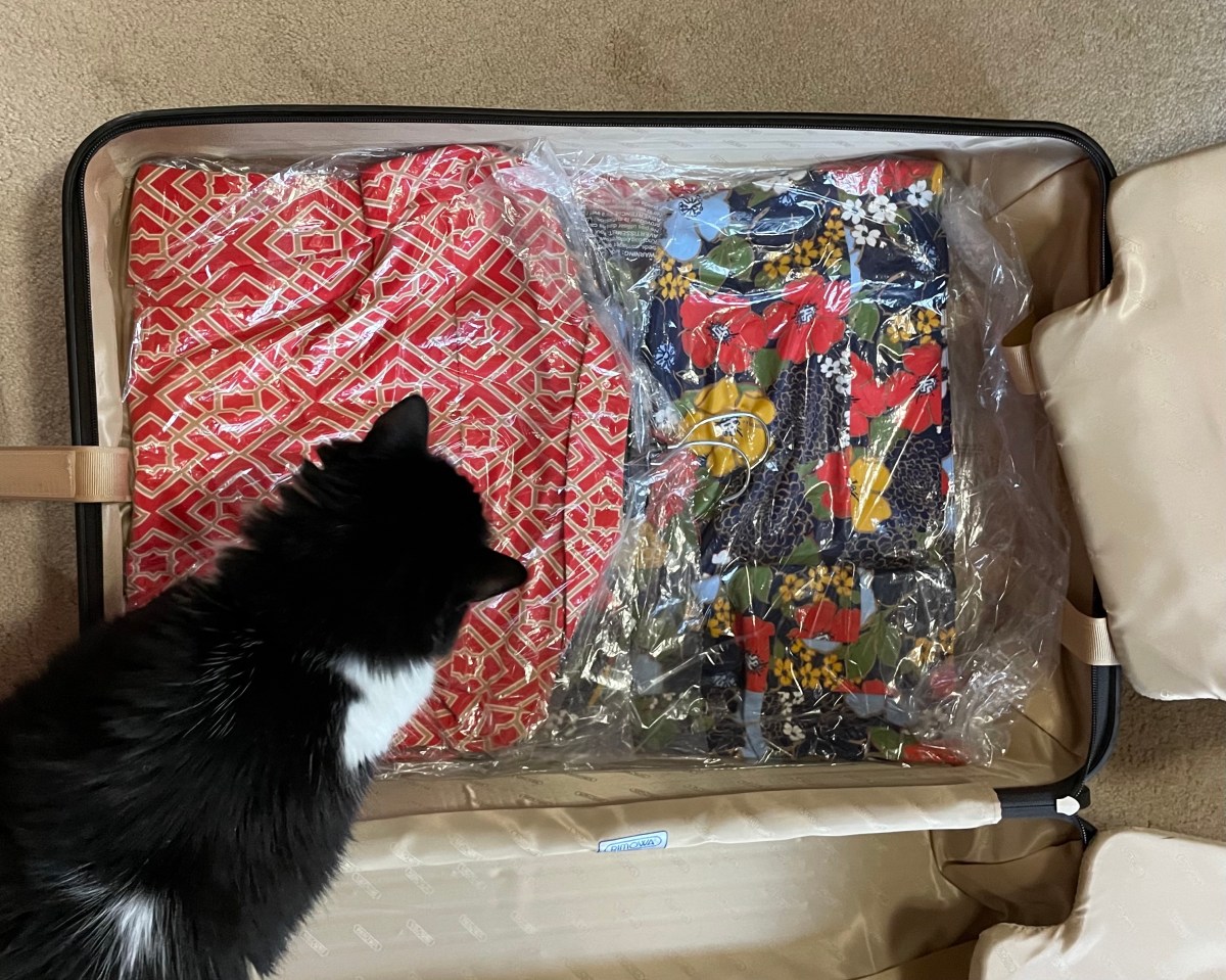 Help Me Pack | ARTISTIC PENSION